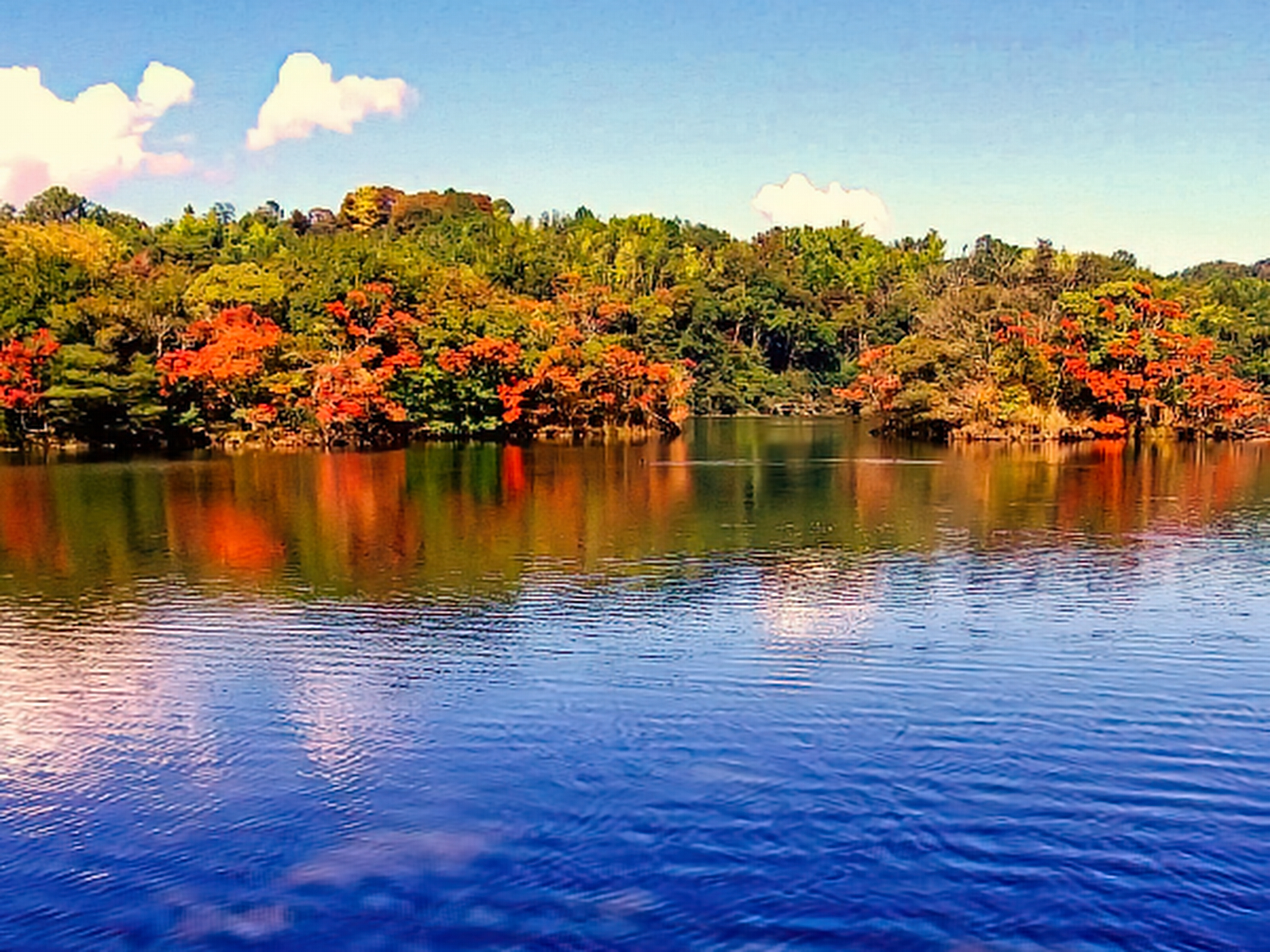 近隣観光スポットのご案内 - K`s CAMP